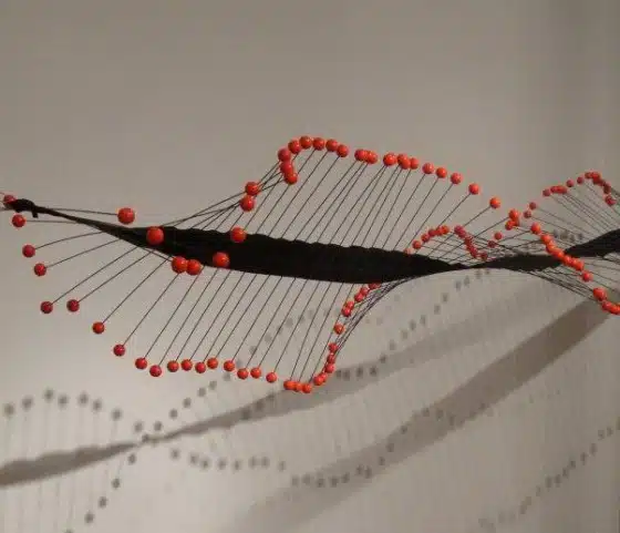 Kim Bernard & Liz Shepherd @ Boston Sculptors Gallery - New England