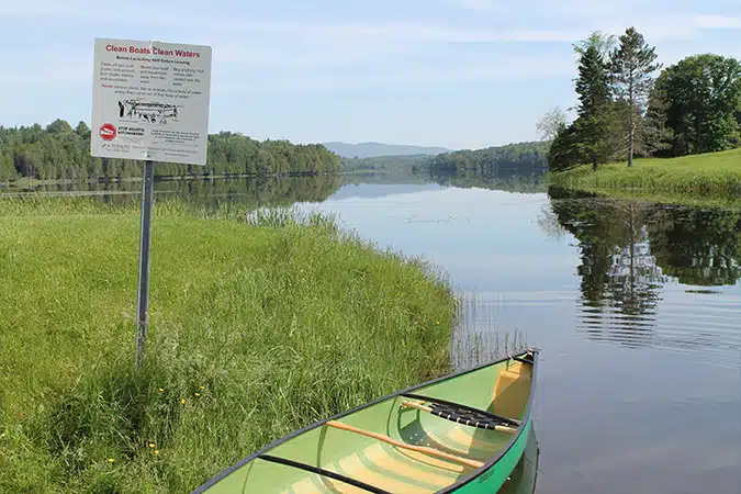 Pure Loonacy | A Day Chasing Loons in Vermont - New England