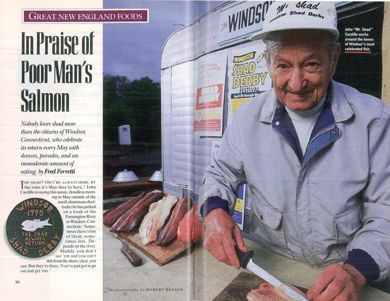 Shad | Poor Man's Salmon