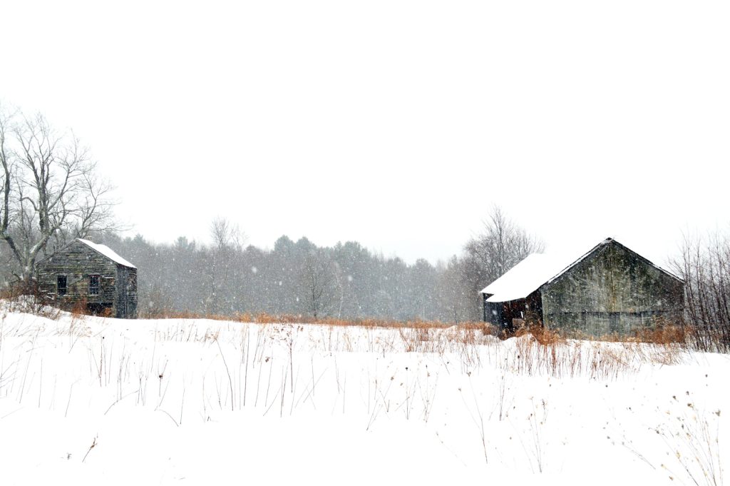 Snowfall at Spectacle Pond Farm