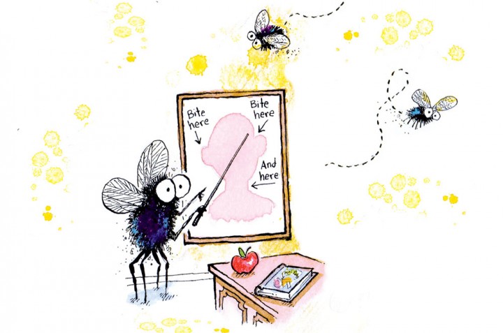 A Primer on Black Flies | Humor - New England Today