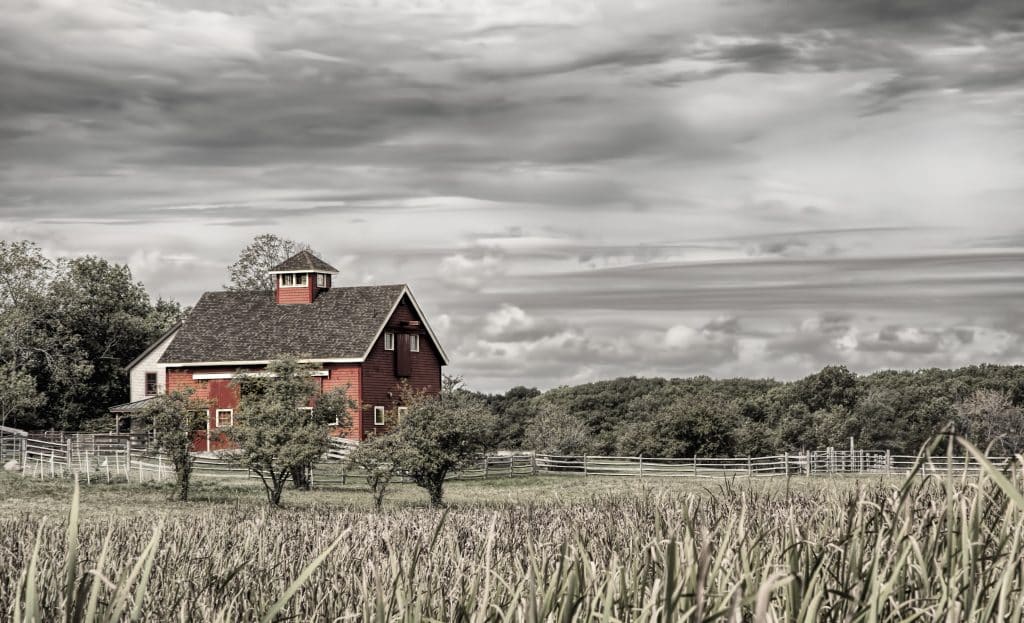 Red Barn