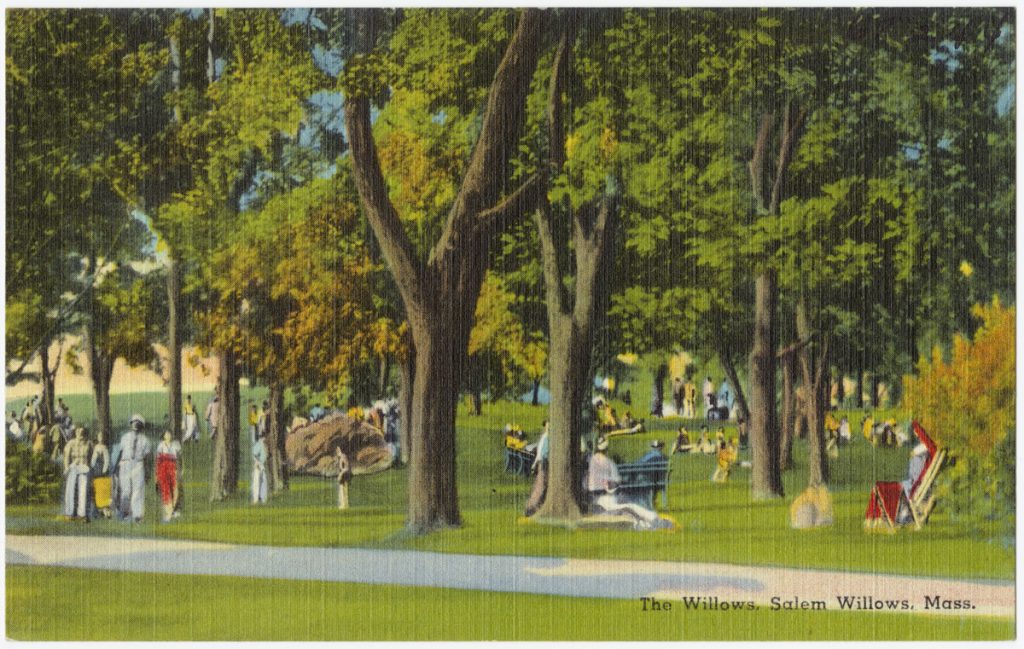 Salem Willows Park and Arcade | Food, Fun, and Fresh Air in Salem ...