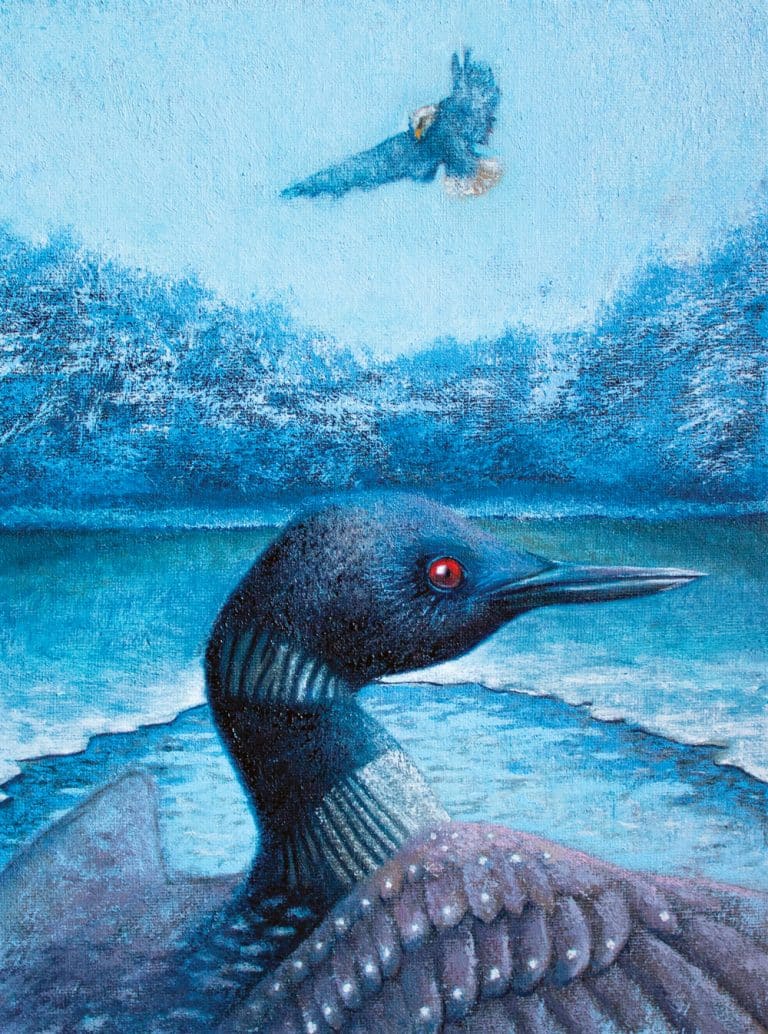 A Christmas Loon