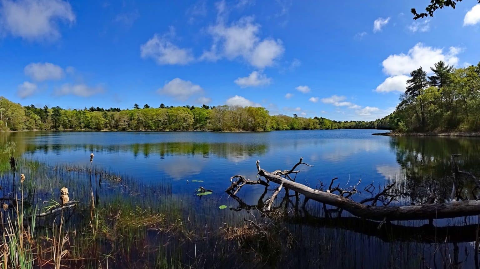 Reconnect with Nature in Plymouth County - New England