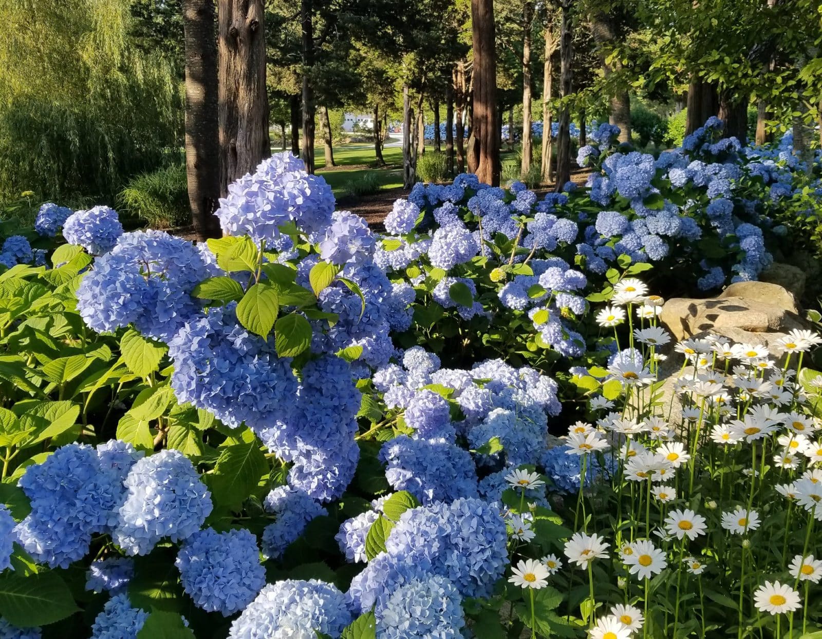 10 Ways to Make the Most of Your Cape Cod Vacation - New England