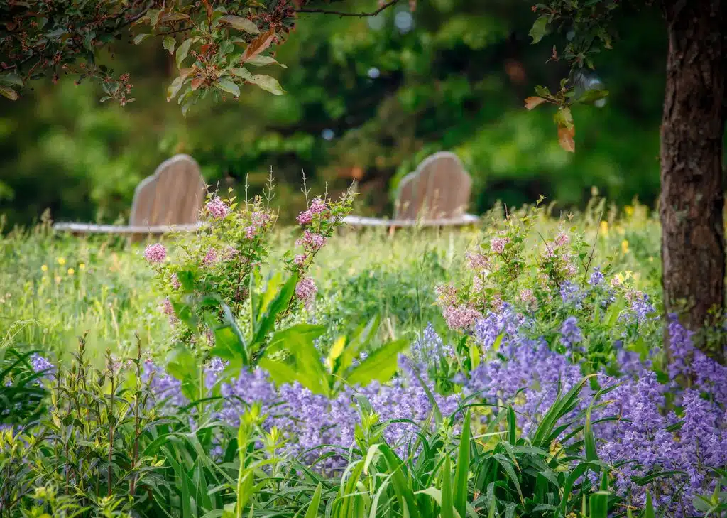 Take a Moment for a Family Road Trip in Massachusetts - New England