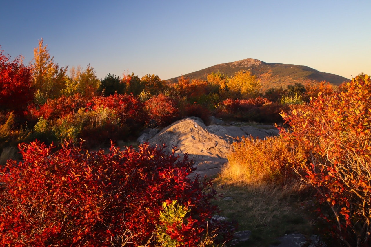 New England Fall Foliage | 2023 Forecast