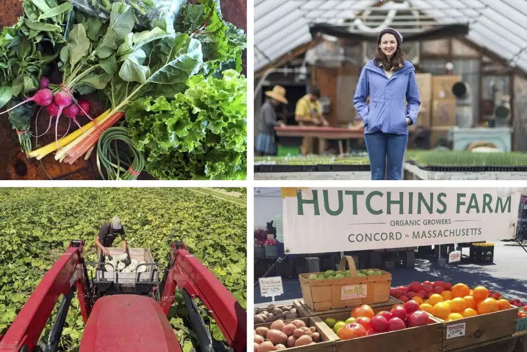 Get Fresh at a Massachusetts Farmers Market