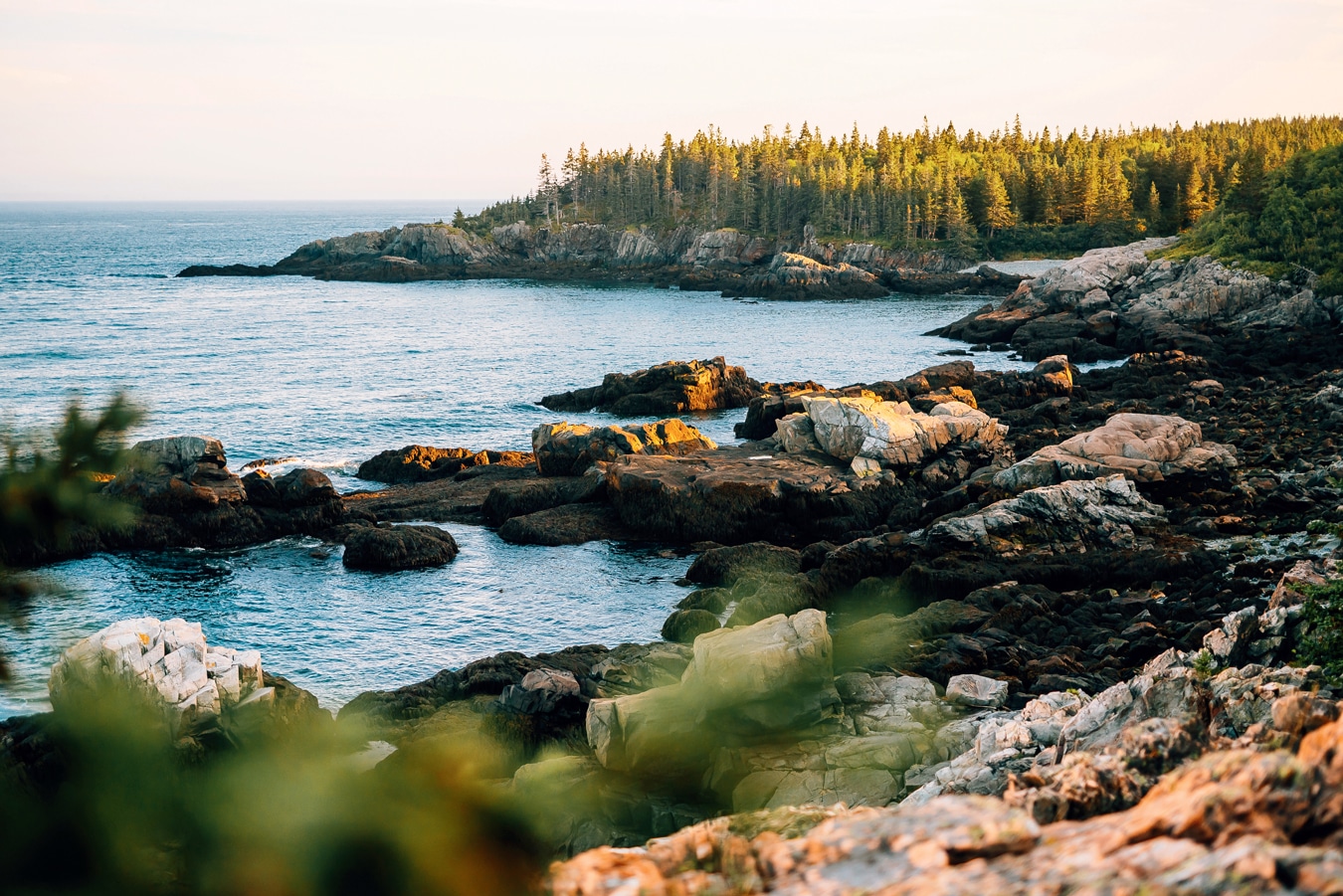 Beyond Acadia | A Summer Exploration of Coastal Northern Maine - New ...