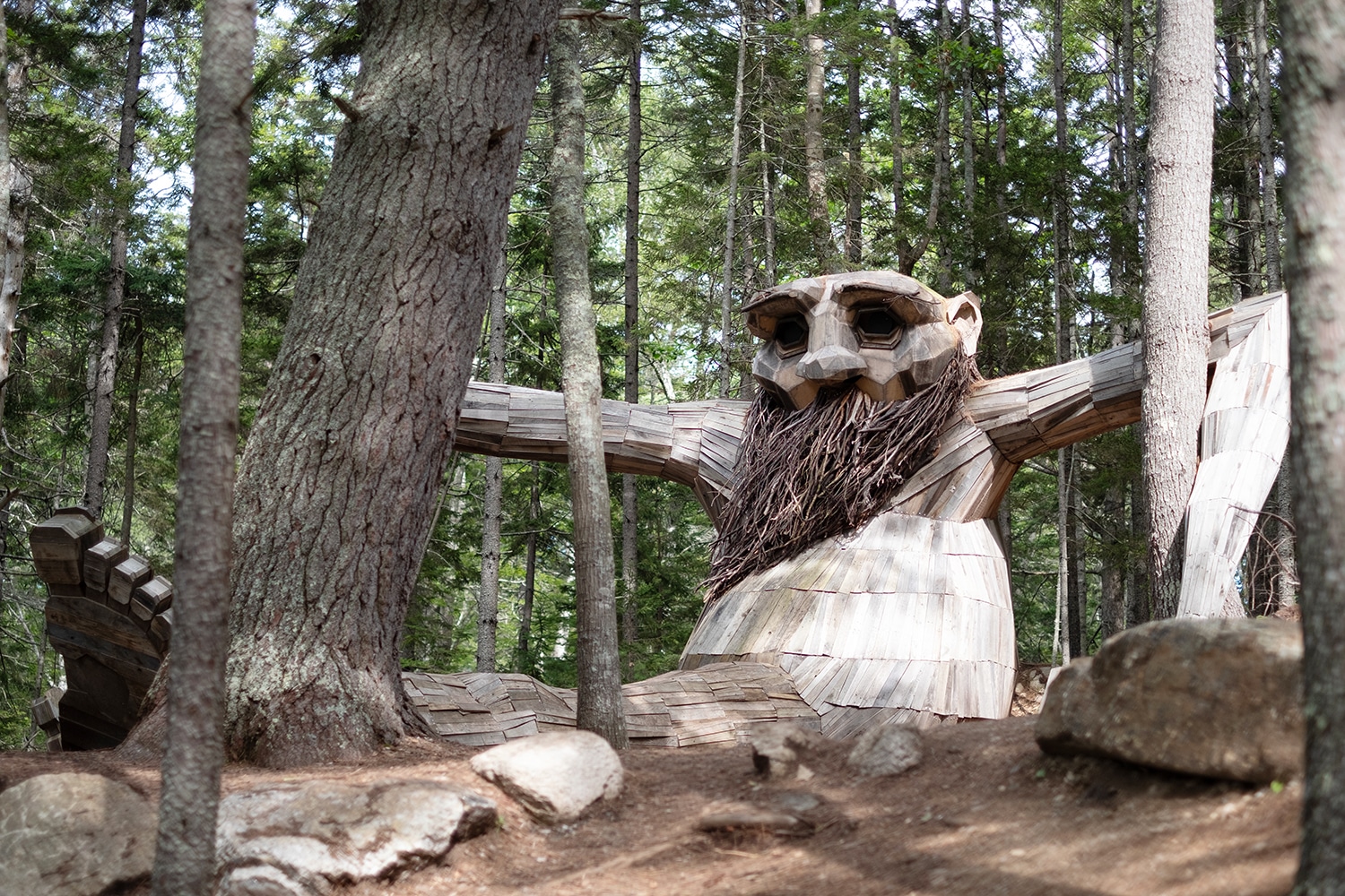 A Magical Summer Visit to Coastal Maine Botanical Gardens