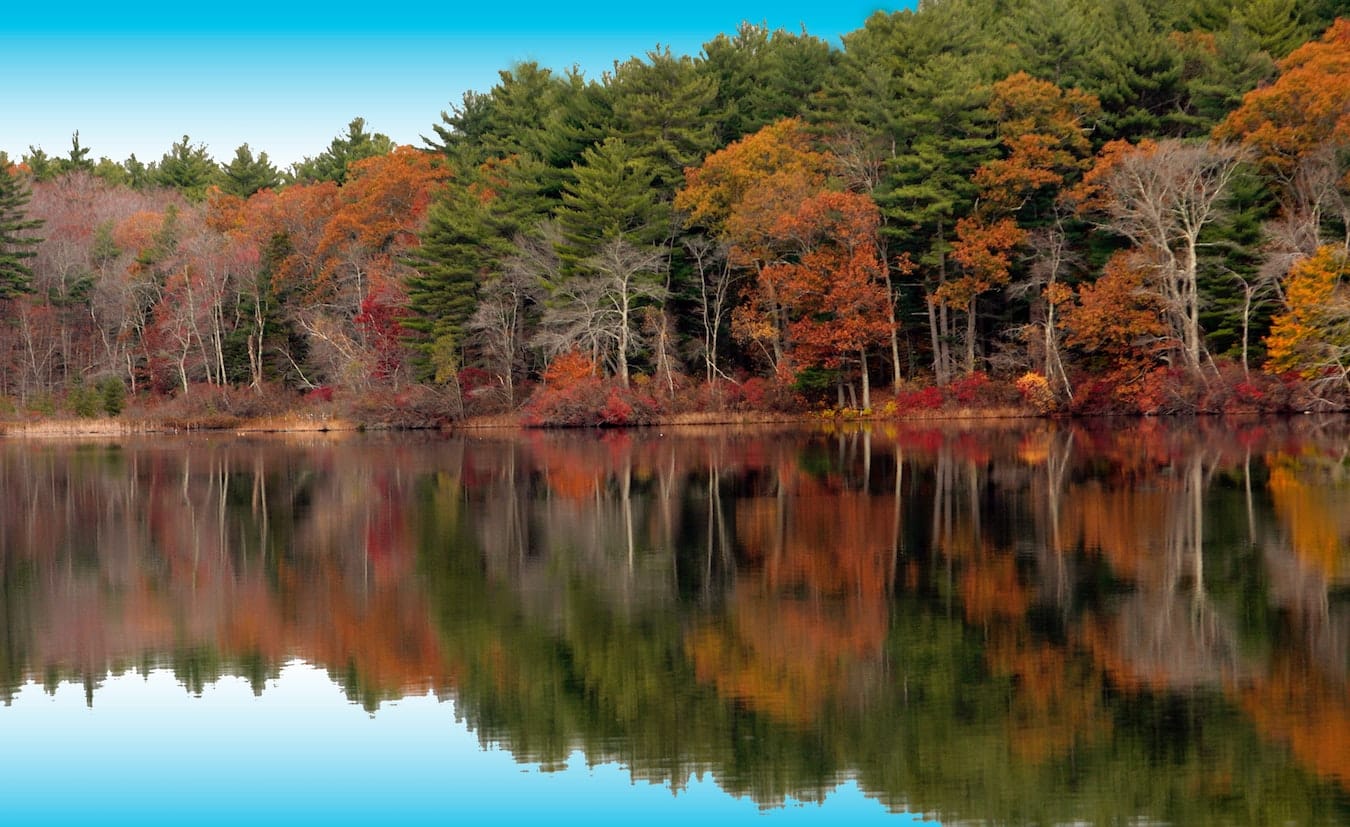 Autumn Is Calling in MetroWest Boston - New England