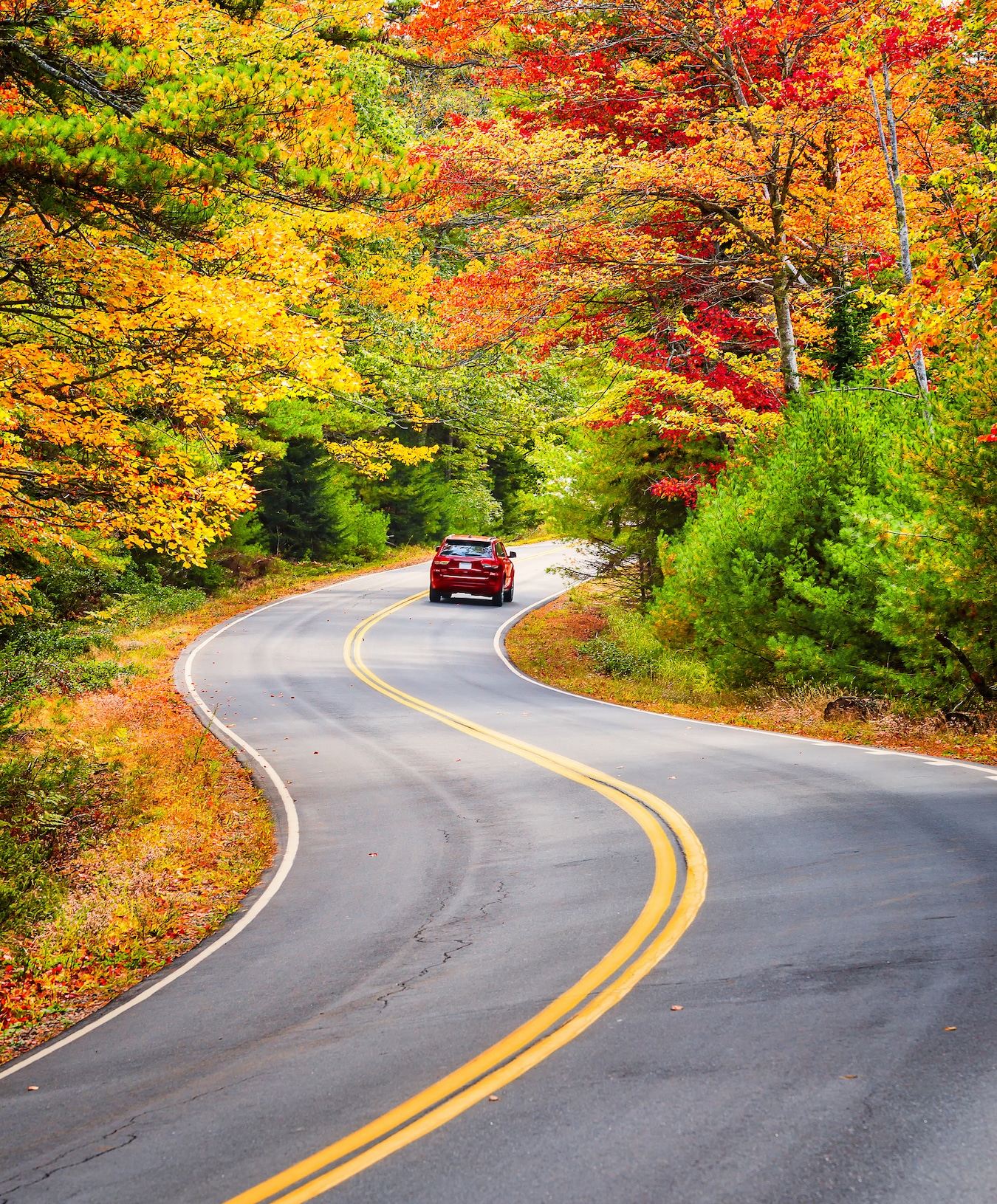 Gear Up for Fall Adventures at Renys - New England
