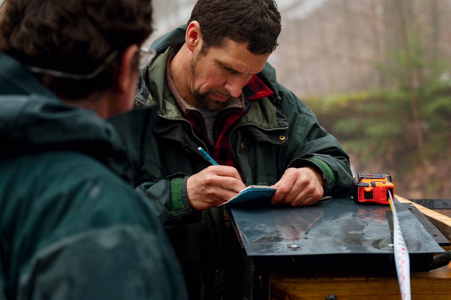 These Trees Say So Much: Hubbard Brook Experimental Forest in North ...