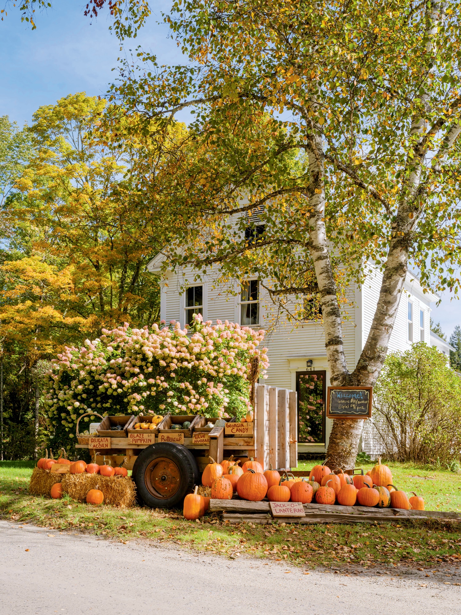 Fall Comes to Vermont's Northeast Kingdom
