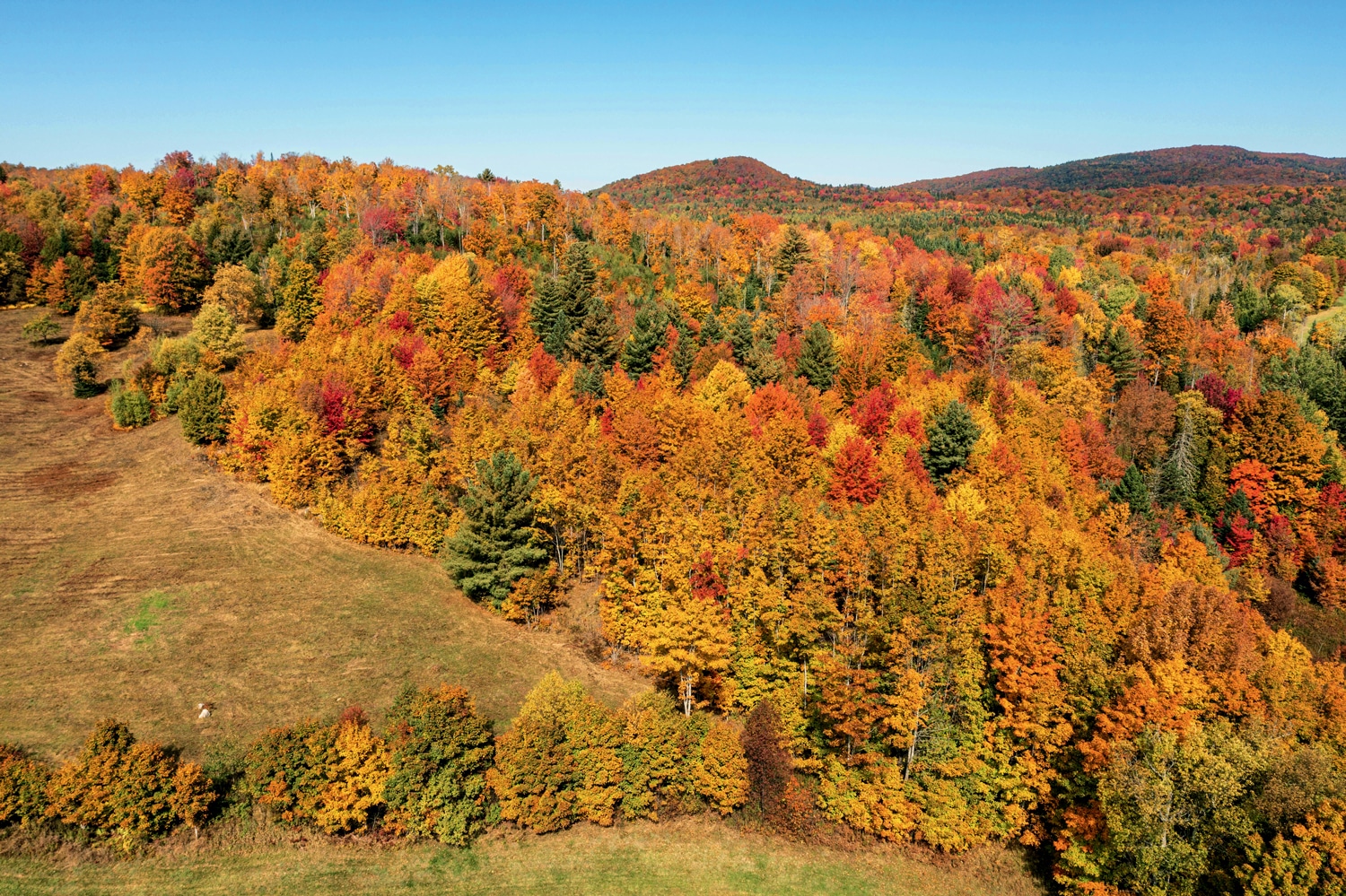 Fall Comes to Vermont's Northeast Kingdom