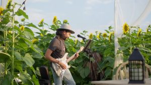 Digital Exclusive: Sunfox Farm - New England