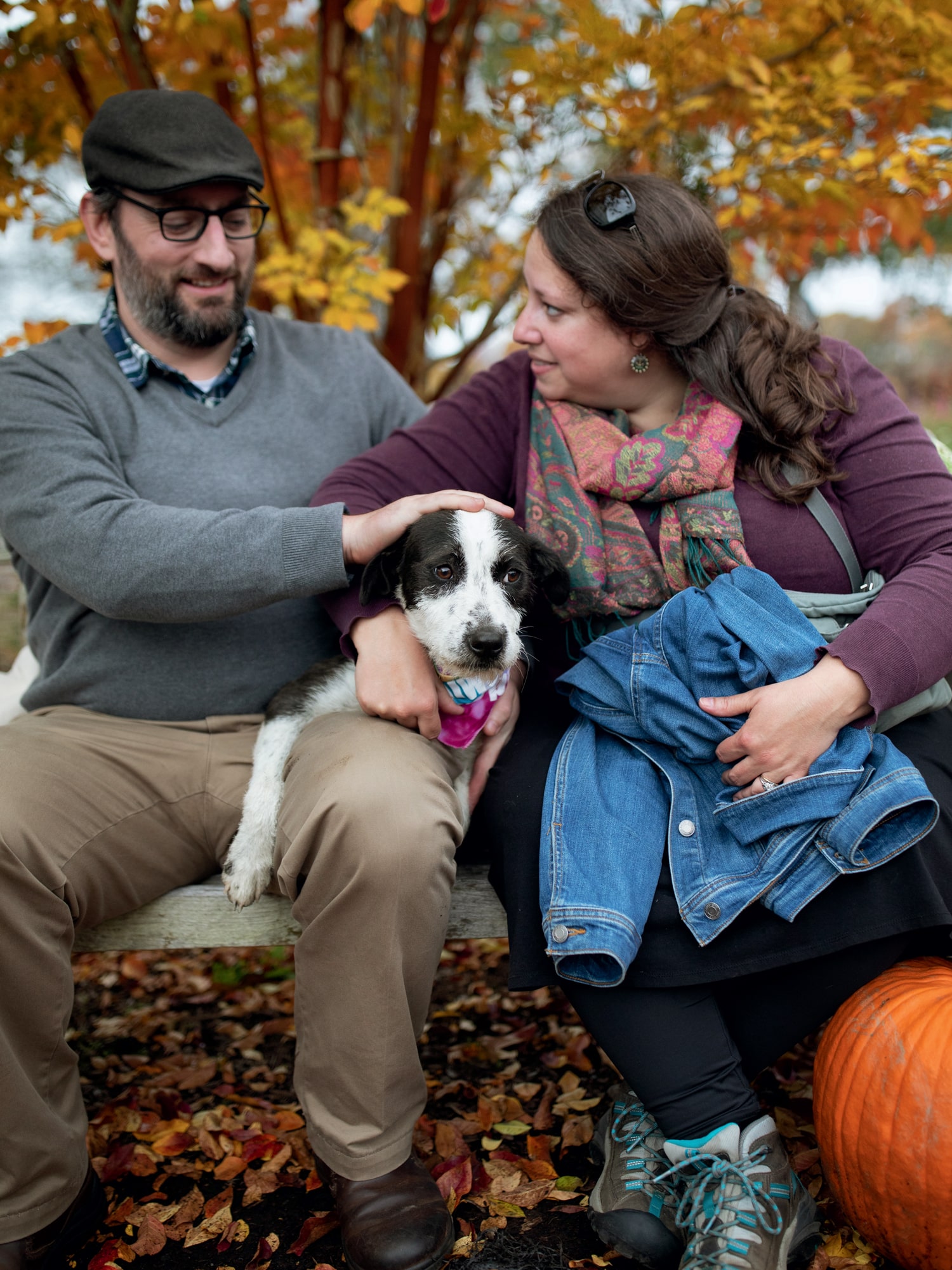 Always Adopt: Rhode Island's Twice-Yearly Supersize Dog Adoption Event
