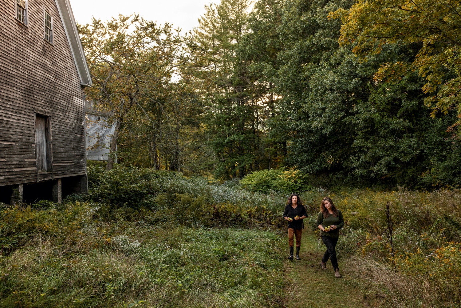 From Forest to Table with Forager Jenna Rozelle - New England