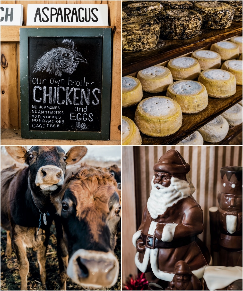 The Great Connecticut Farm Hop - New England