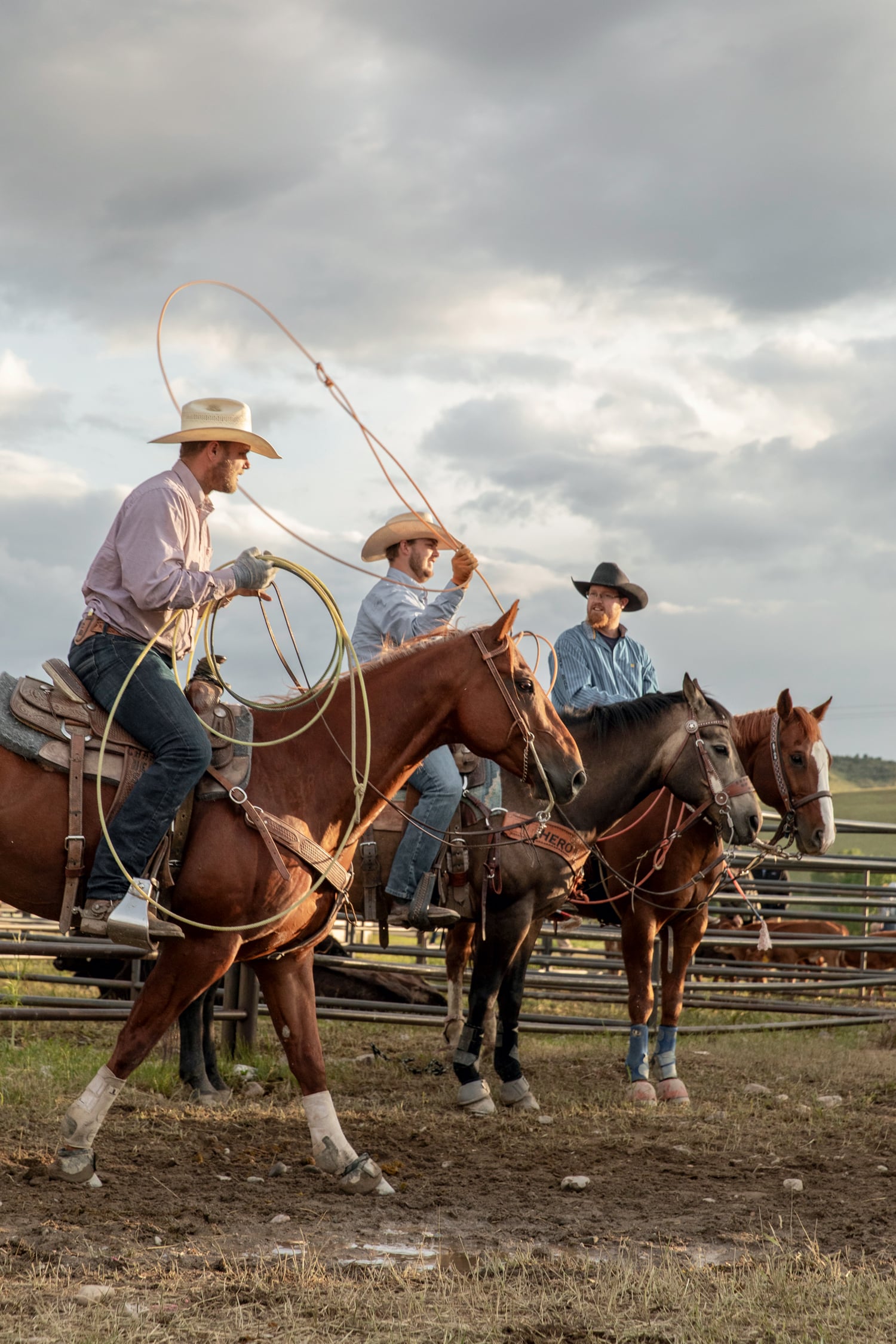 Home and Away | Maine Photographer Greta Rybus