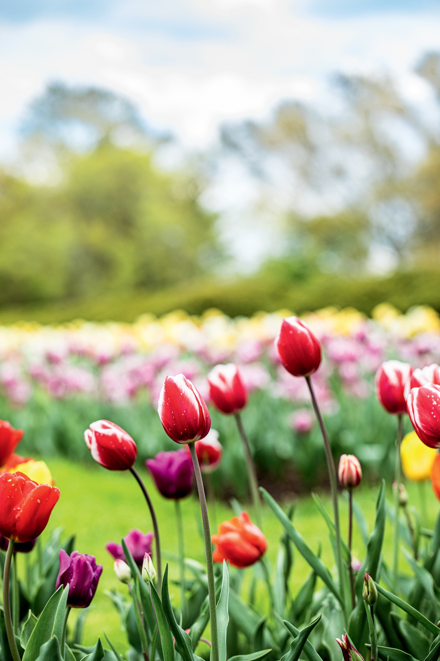 Spring Weekend in West Hartford, Connecticut | Eat, Stay, Play - New ...