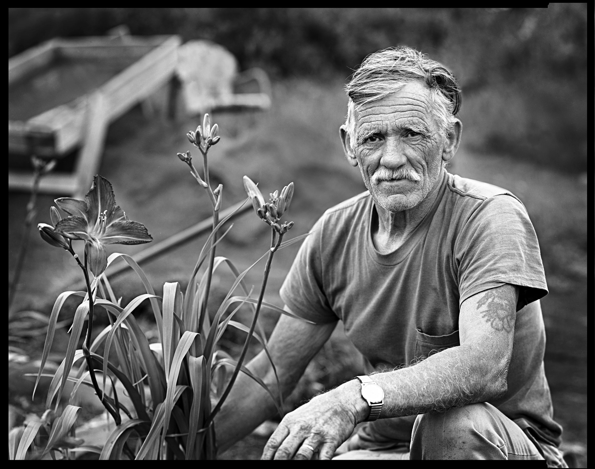 Scenes from "Vinalhaven: Portrait of a Maine Island" | Featured ...