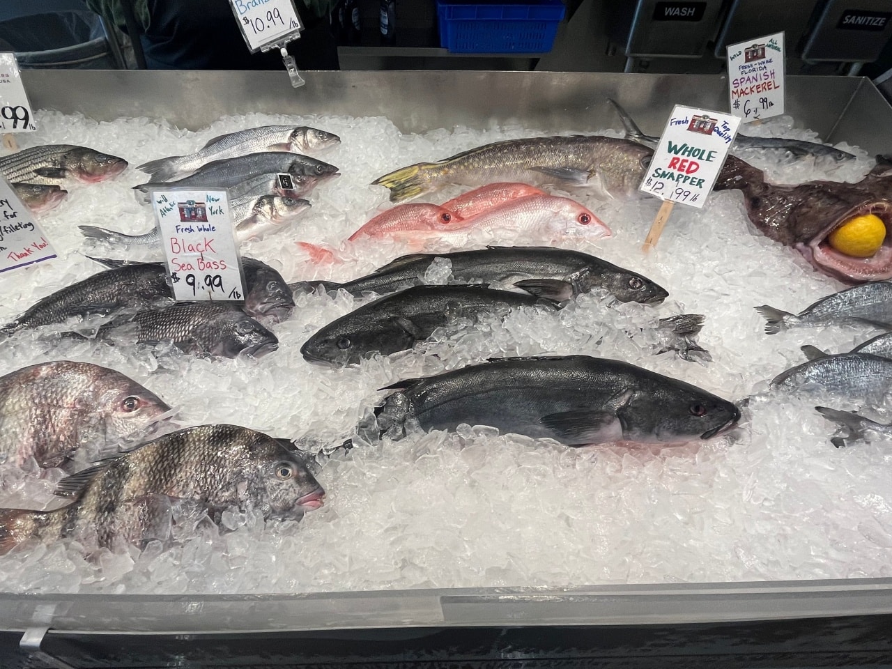 In Praise of Harbor Fish Market in Portland, Maine | Family, Tradition ...