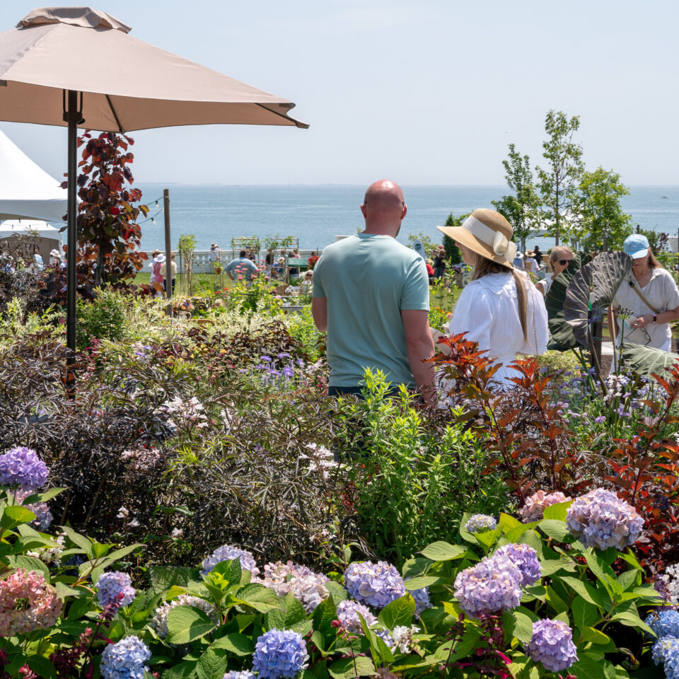 Best Outlets in New England | Guide to Outlet Shopping