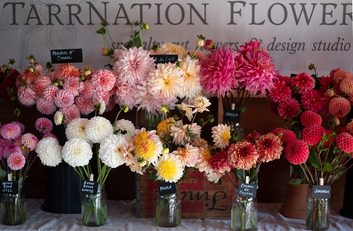Tarrnation Flower Farm | Flower Arranging & More New England Gardening ...