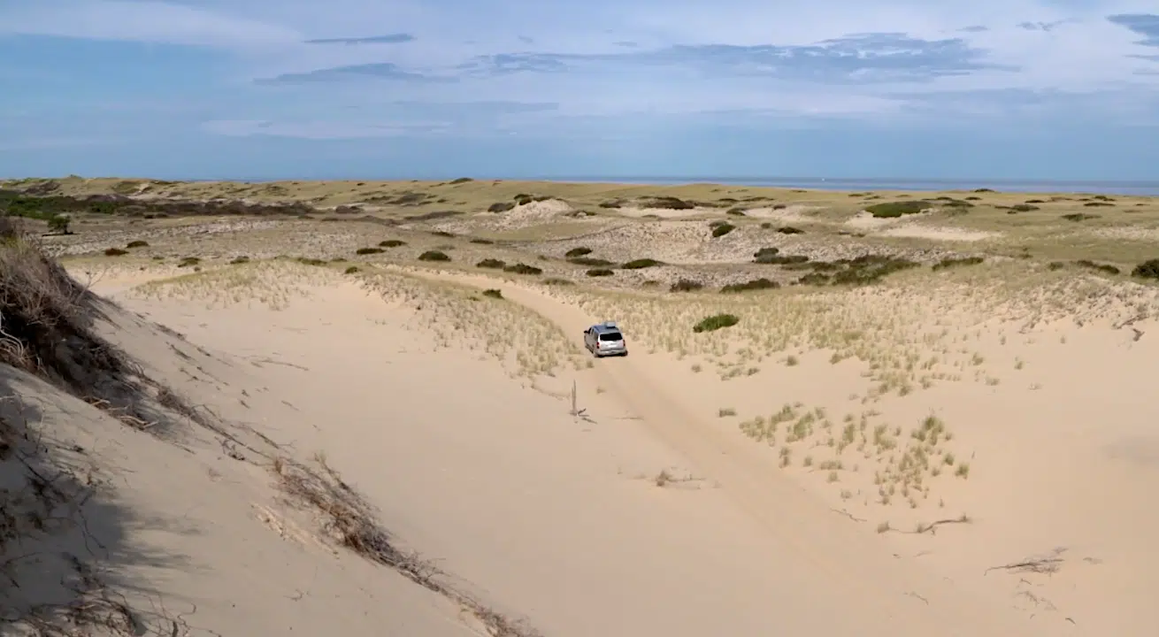 Visit the Famous Sand Dunes on the Cape Cod National Seashore - New England
