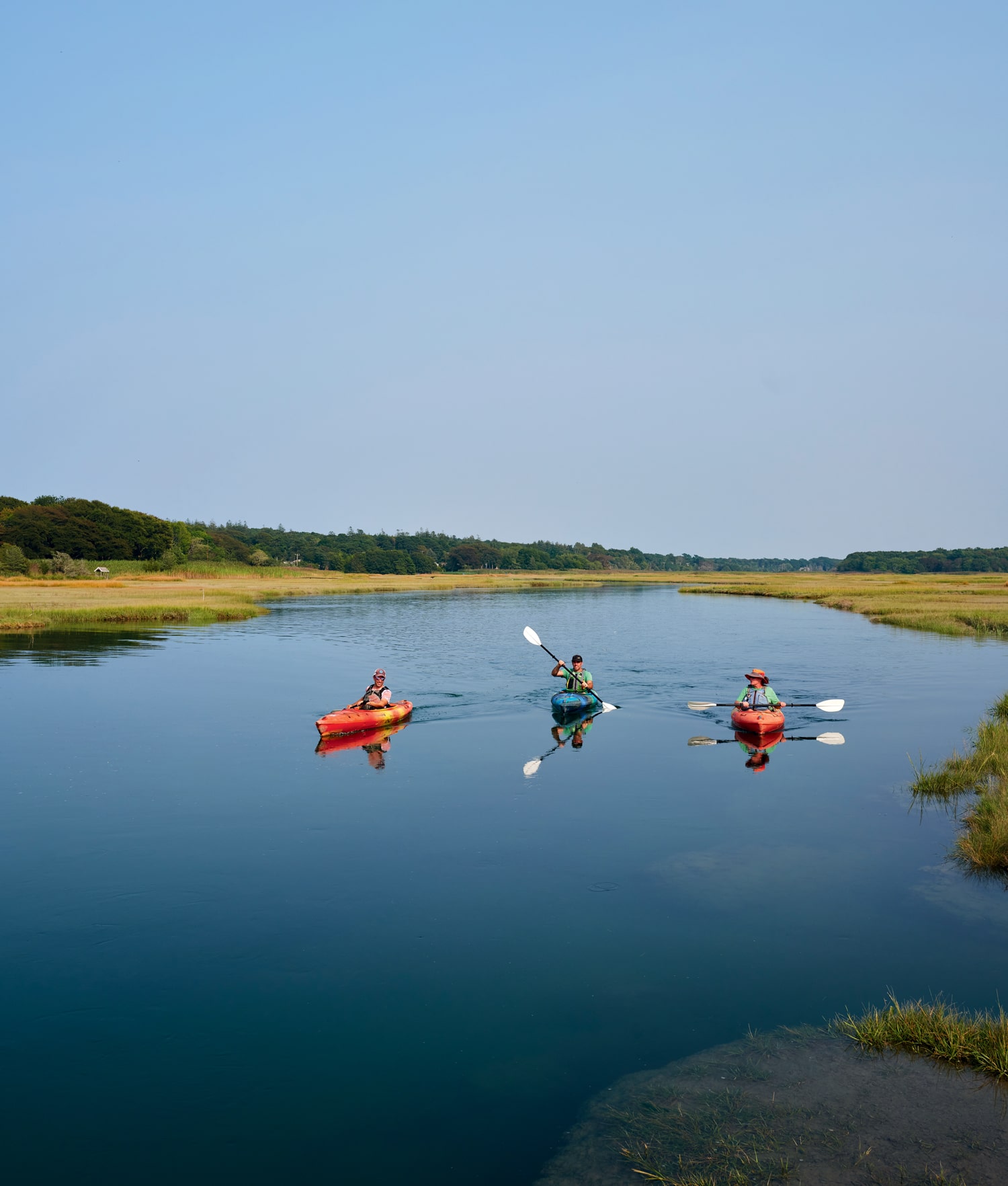 Cape Confidential: An Insider's Guide to Cape Cod