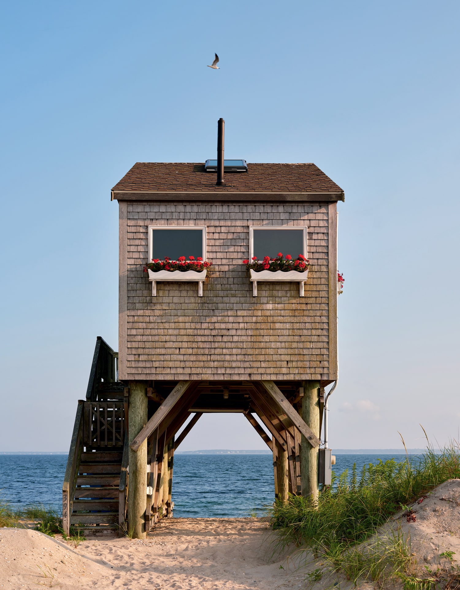 Cape Confidential: An Insider's Guide to Cape Cod