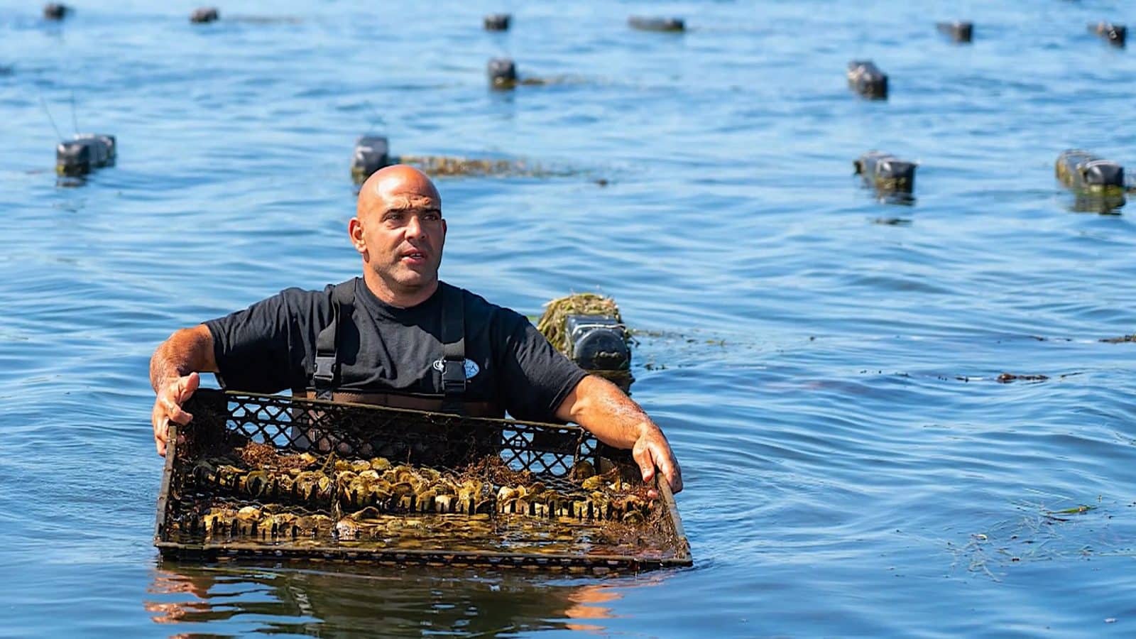 Rhode Island Oyster Farming with Perry Raso, Founder of Matunuck Oyster ...
