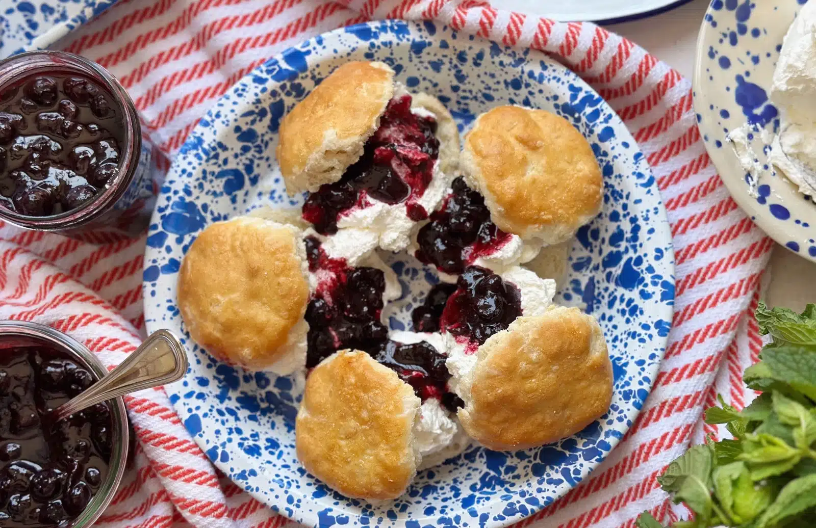 Maine Wild Blueberry Syrup - New England