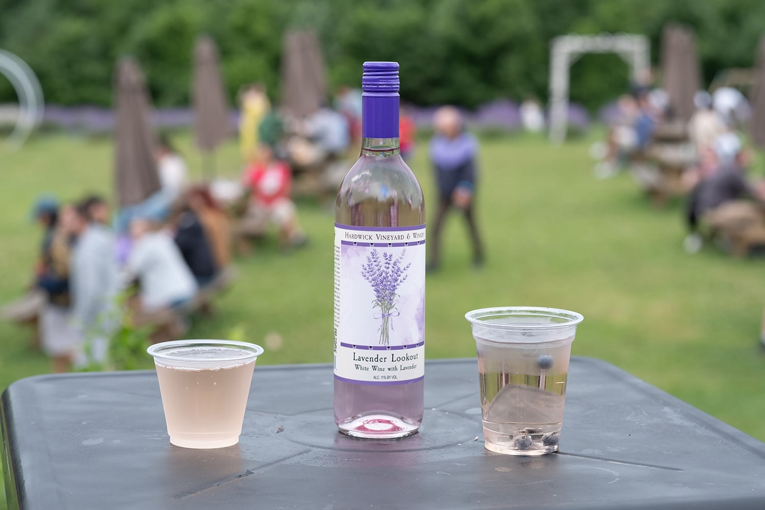 Scenes from the Lavender Festival at The Farm at SummitWynds in Holden ...