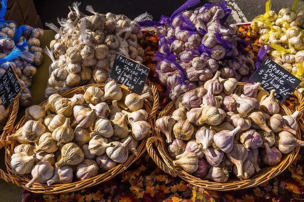 September in New England: Best Events and Travel Deals