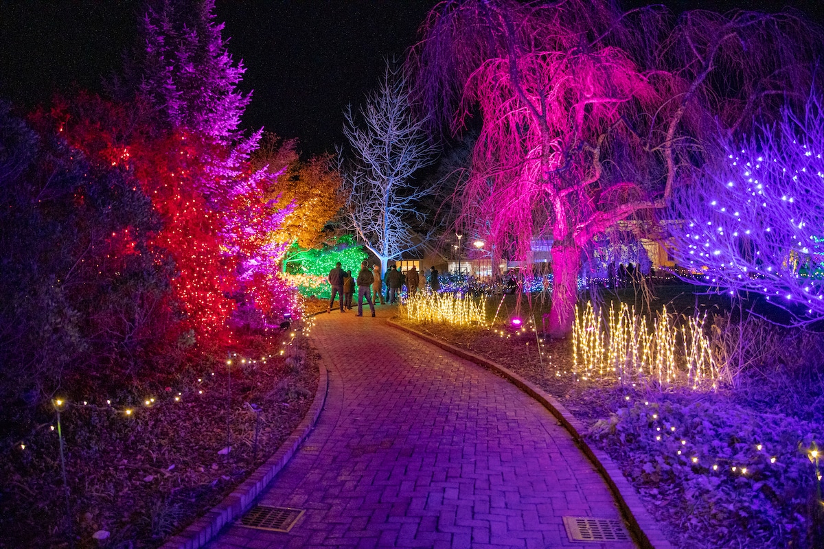 Don’t Miss a Beat in the Heart of Massachusetts