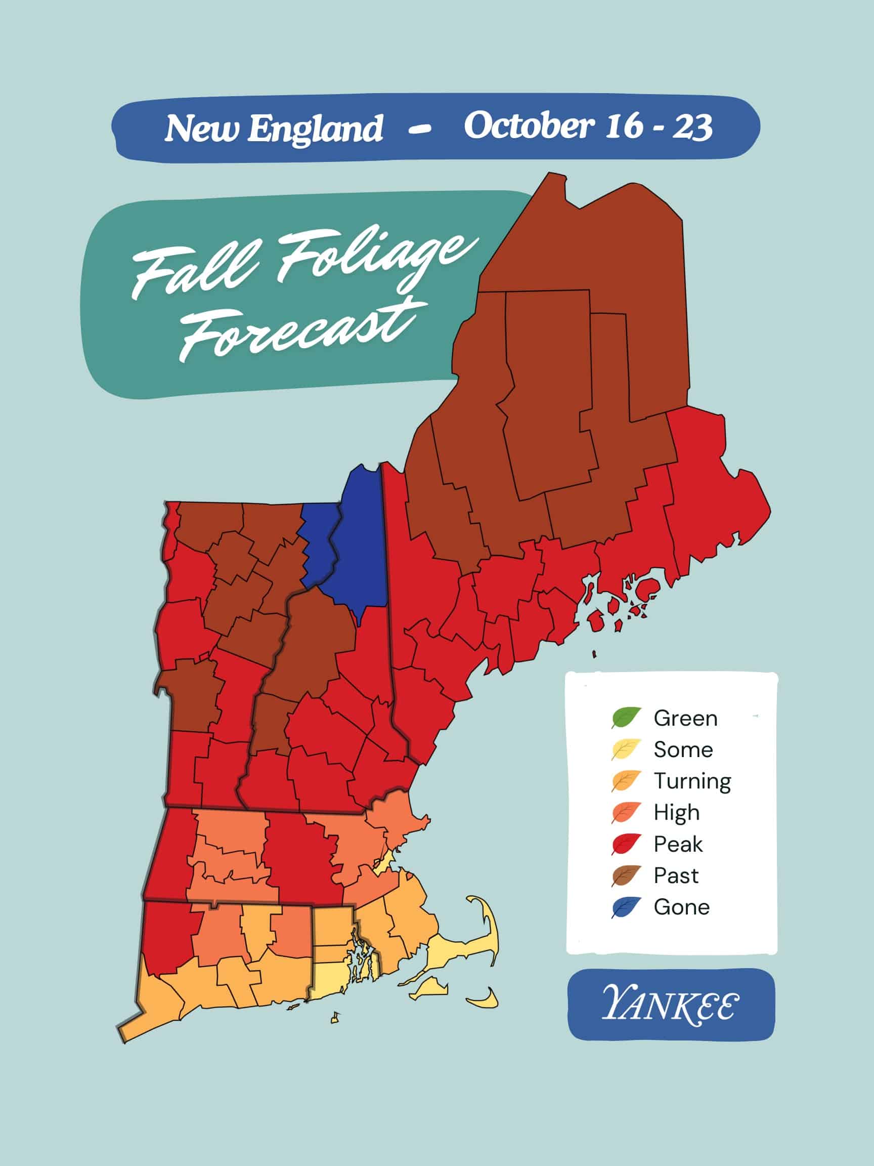 Where to See Fall Foliage This Weekend | 2024