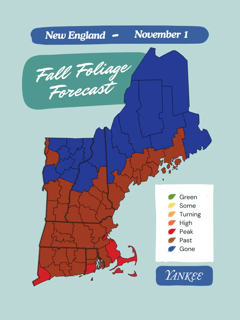 New England Fall Color Map Best Fall Foliage Maps For Tracking Leaf