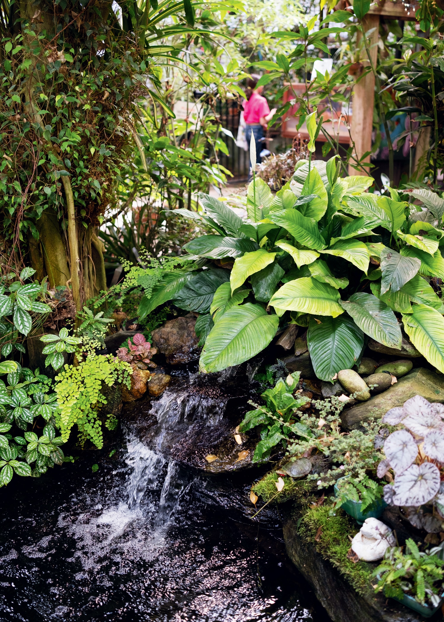 Magic Wings Butterfly Conservatory & Gardens in South Deerfield ...