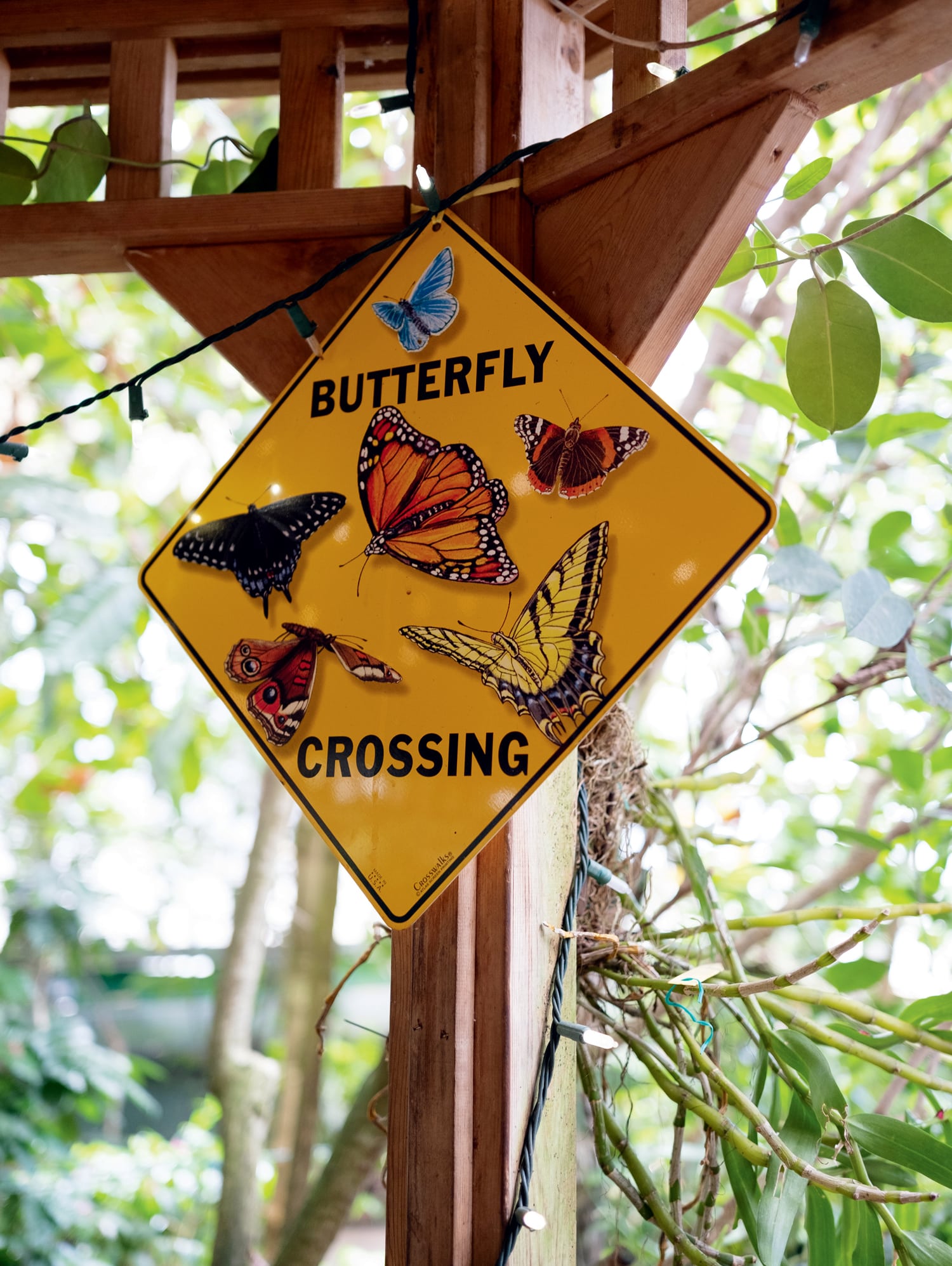 Magic Wings Butterfly Conservatory & Gardens in South Deerfield ...
