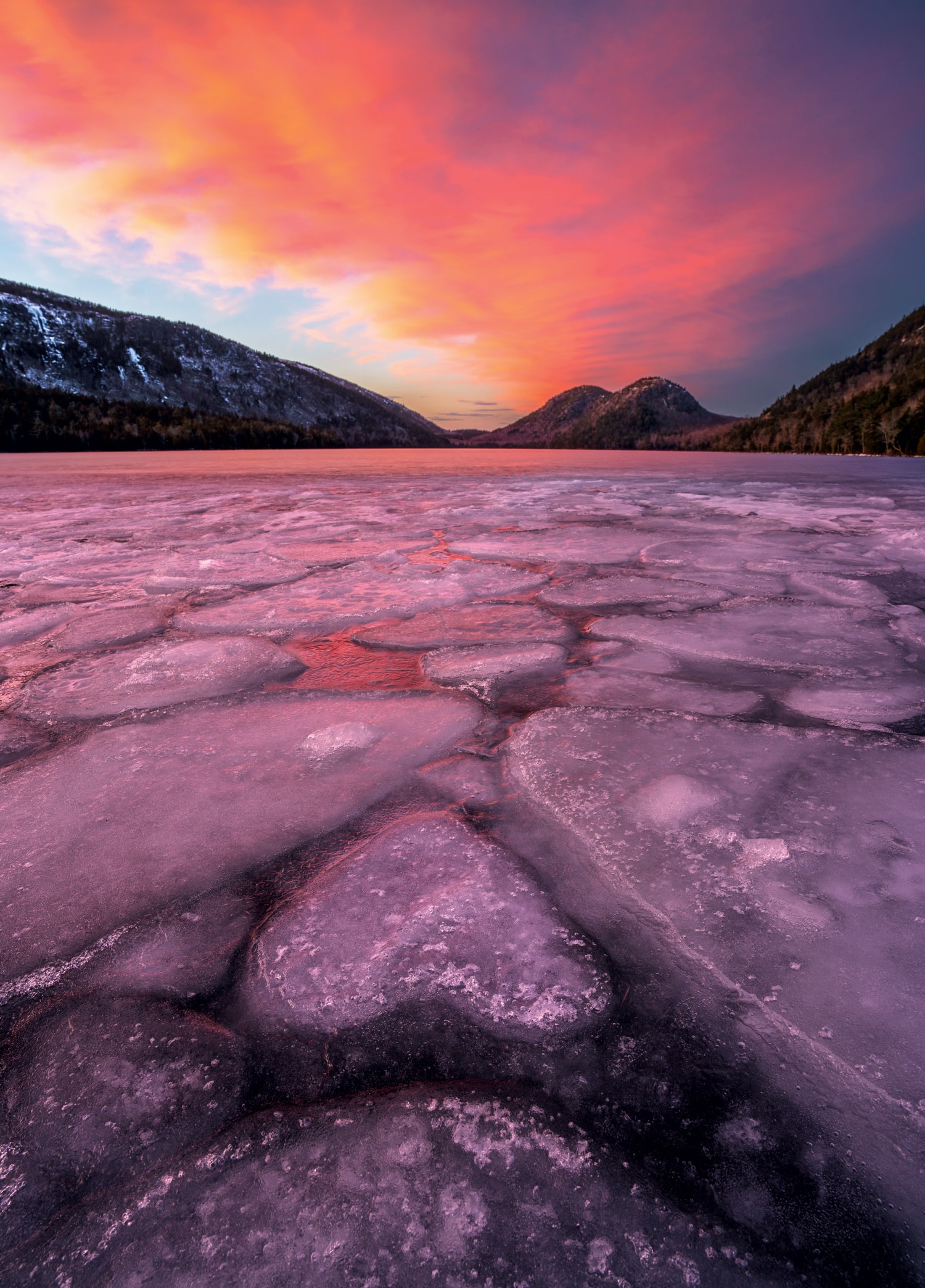 The Quiet Beauty of Acadia National Park in Winter - New England