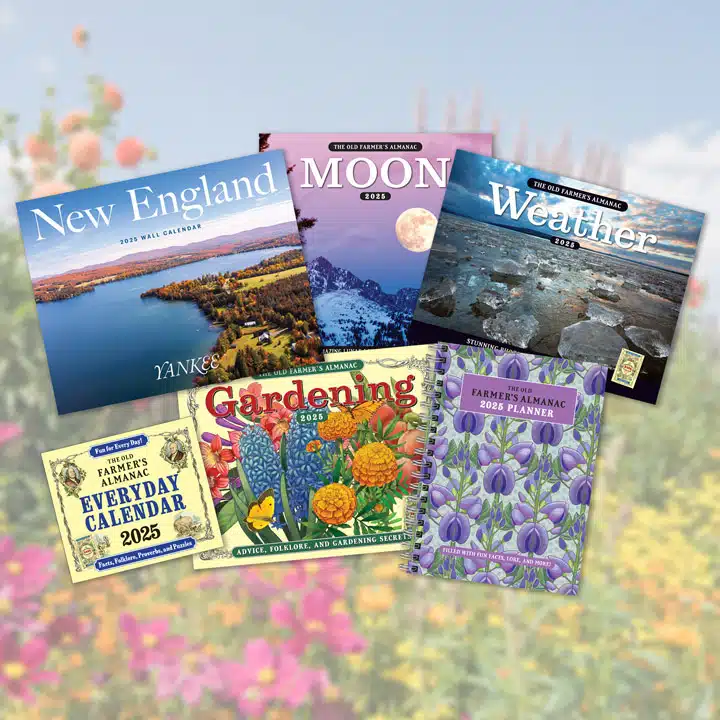 Store: Calendar Variety - New England