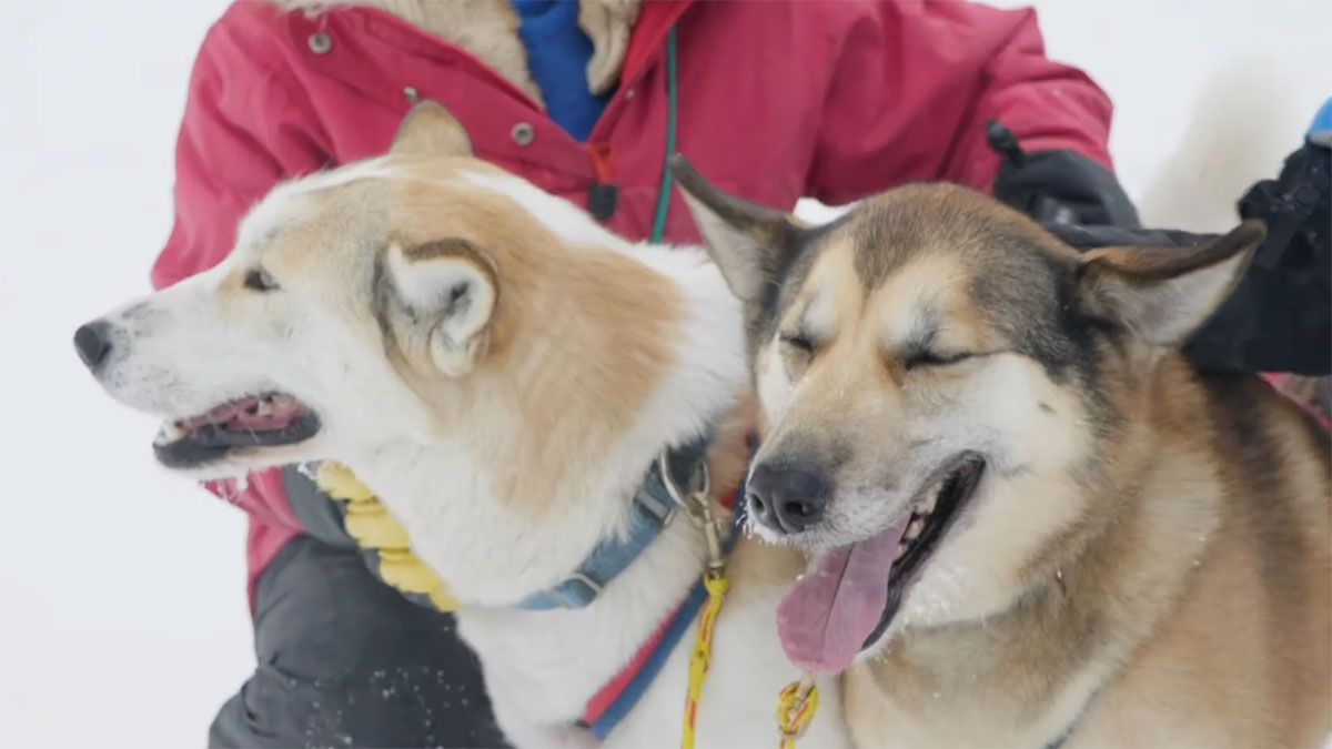 “Weekends with Yankee” Episode 913: Winter in New England - New England