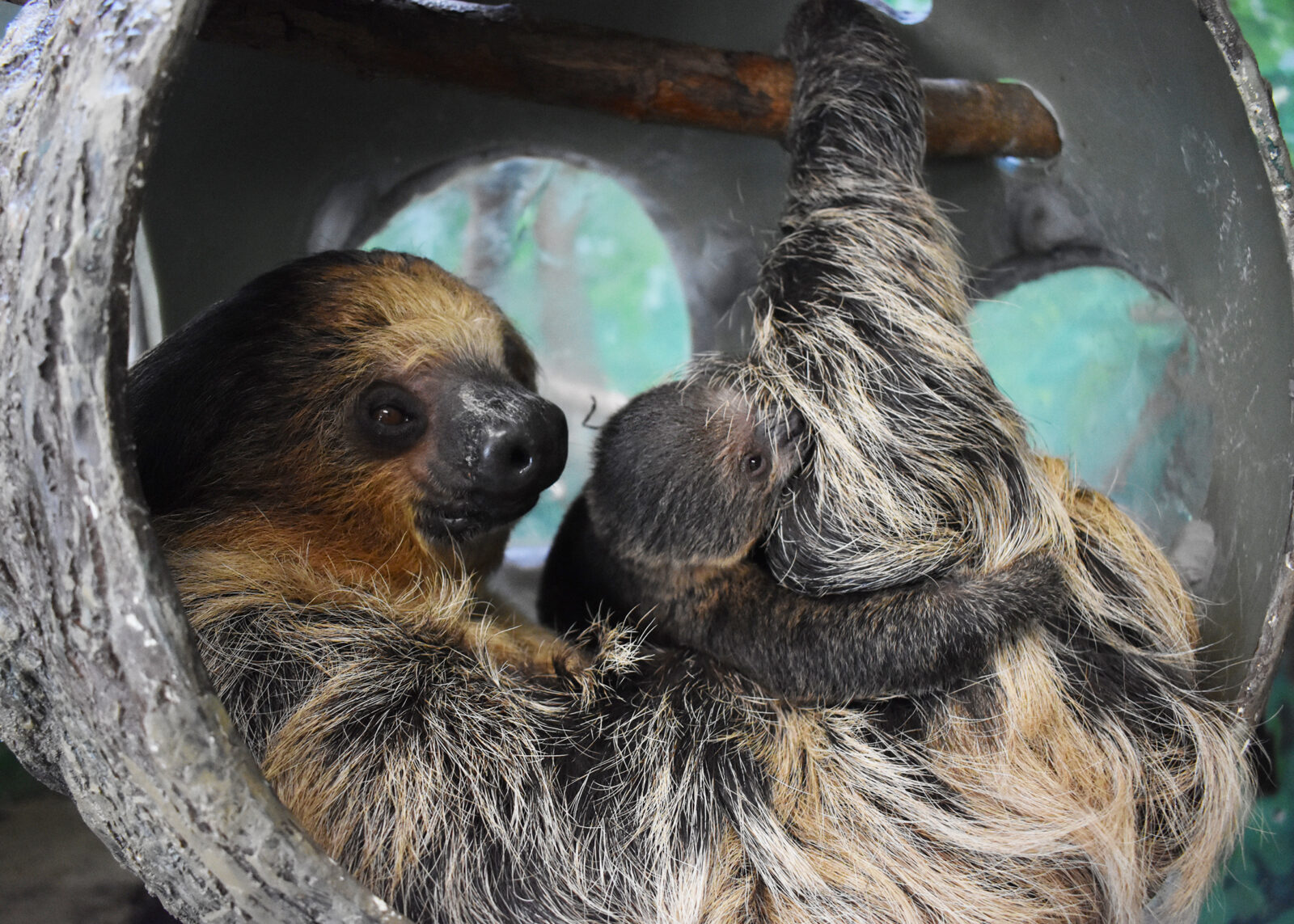 Things to Do in New England in May 2025 - New England