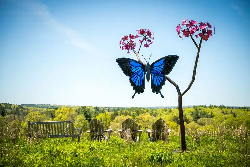 June 2026 in New England: Top Events and Travel Deals - Yankee Magazine
