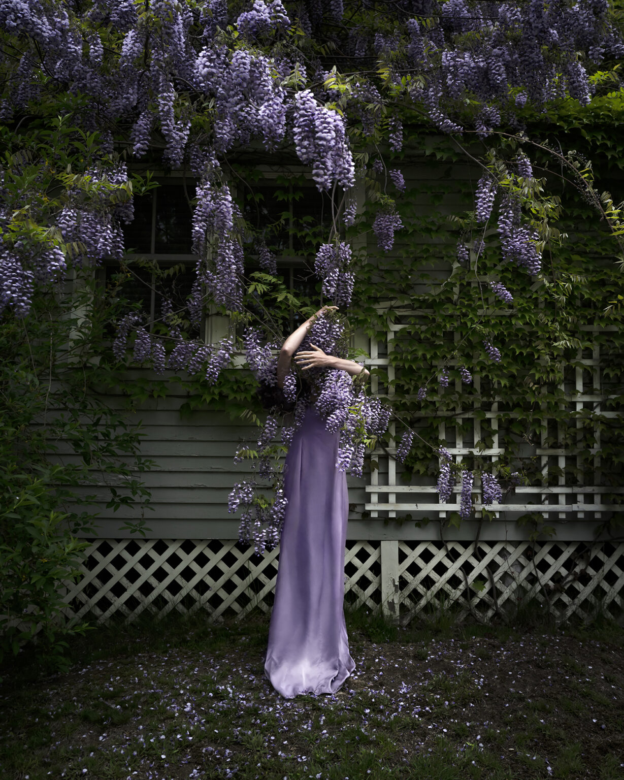The Magical Eye of Maine Photographer and Writer Cig Harvey