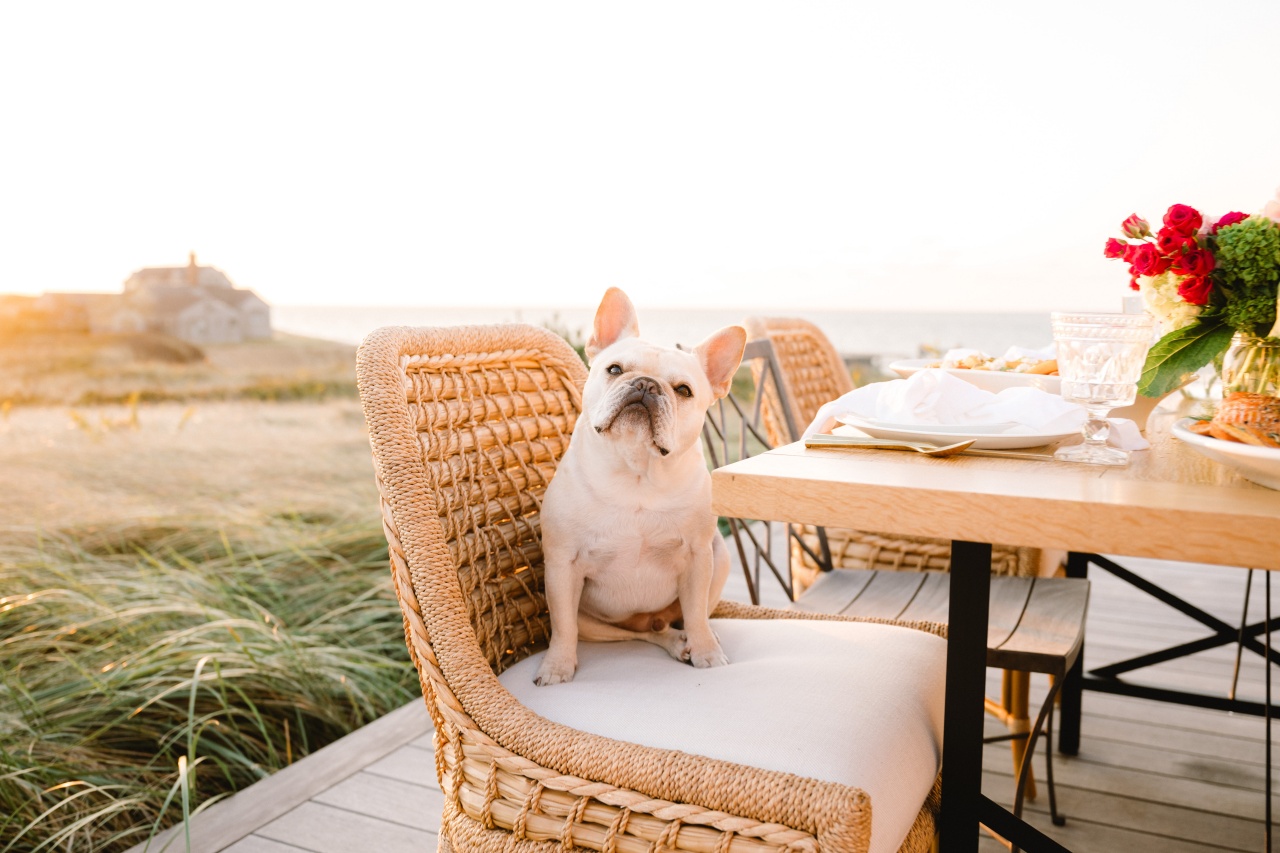 Debi Lilly's Summer Style | Sunset Soirée - New England