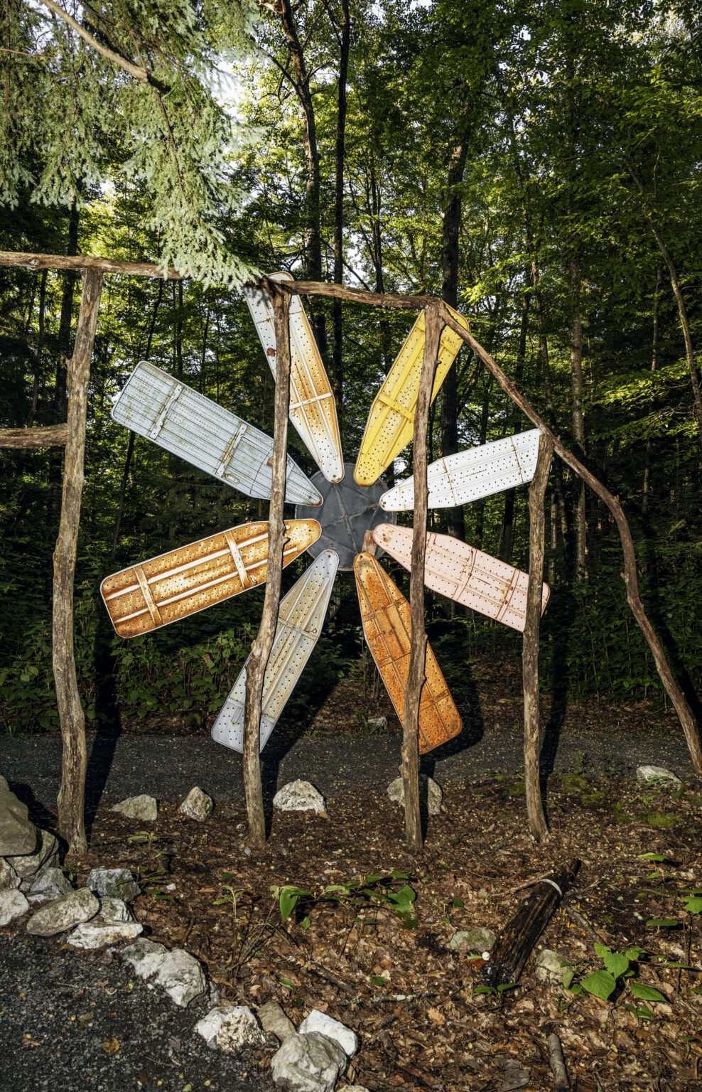 The Garden That Keeps Growing: Distant Hill Gardens and Nature Trail in ...